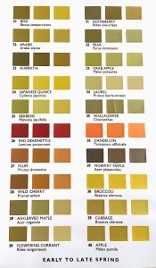 Pollen charts | Jot101